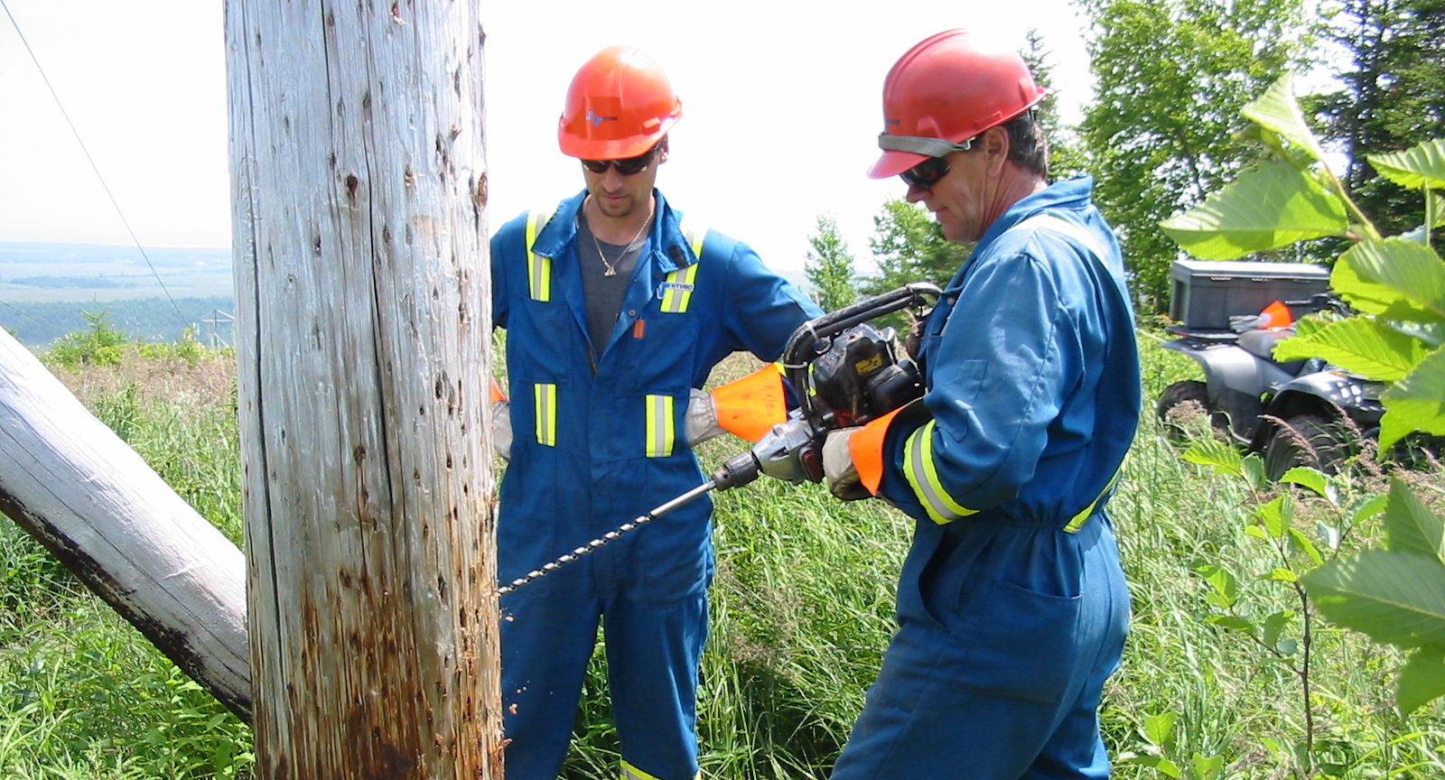 Wood Pole Line Management - Newfoundland & Labrador Hydro